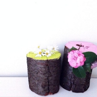 Painted Logs - The Stylist Splash